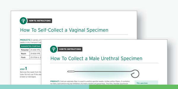 Vaginal and Penile Urethral Specimen Collection